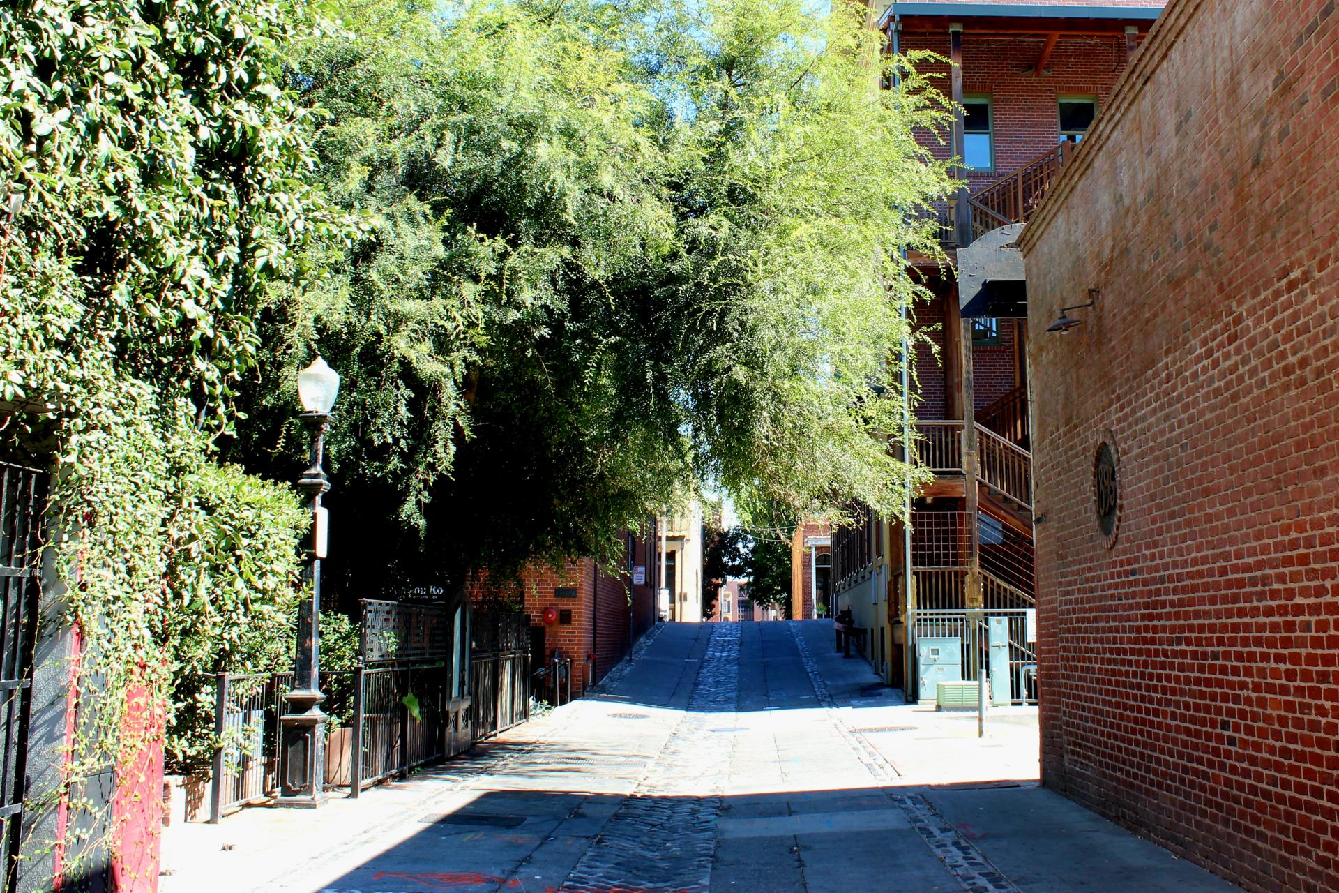 Choose Your Own Adventure - Old Sacramento Waterfront